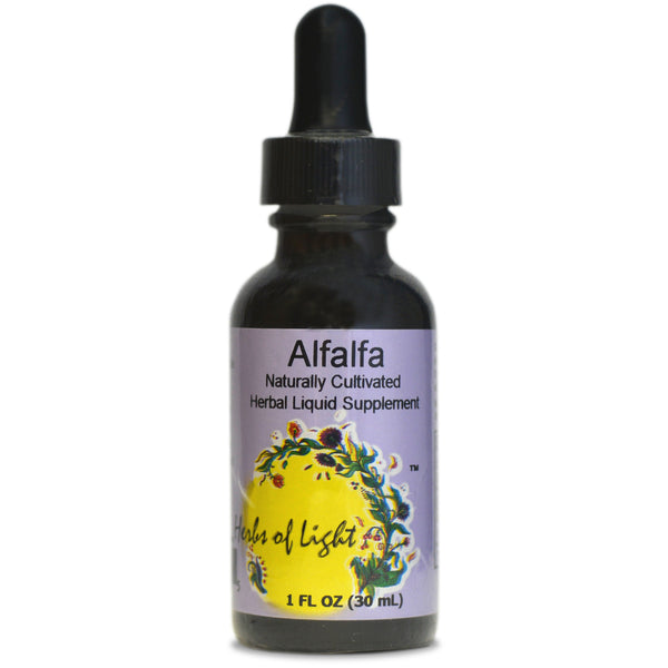 Alfalfa Extract | Herbal Tincture | Herbs for Digestion - Herbs of Light